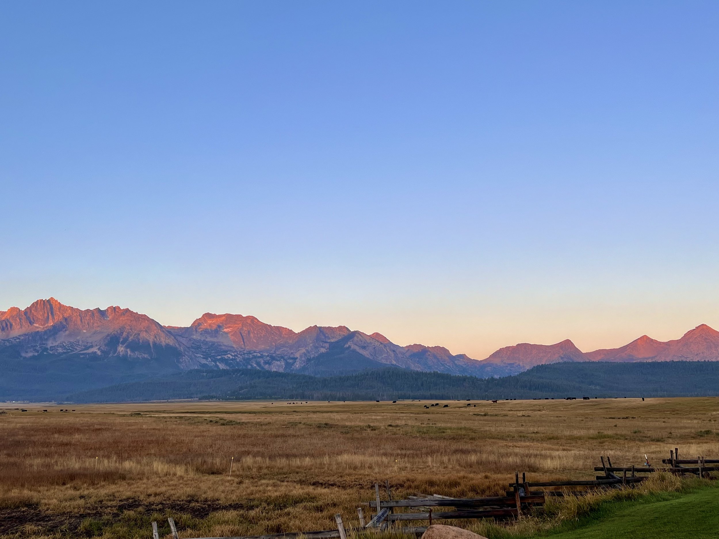 Yellowstone and Grand Teton 12 Day Itinerary